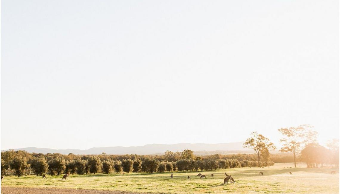 Moravia Park | Wedlockers