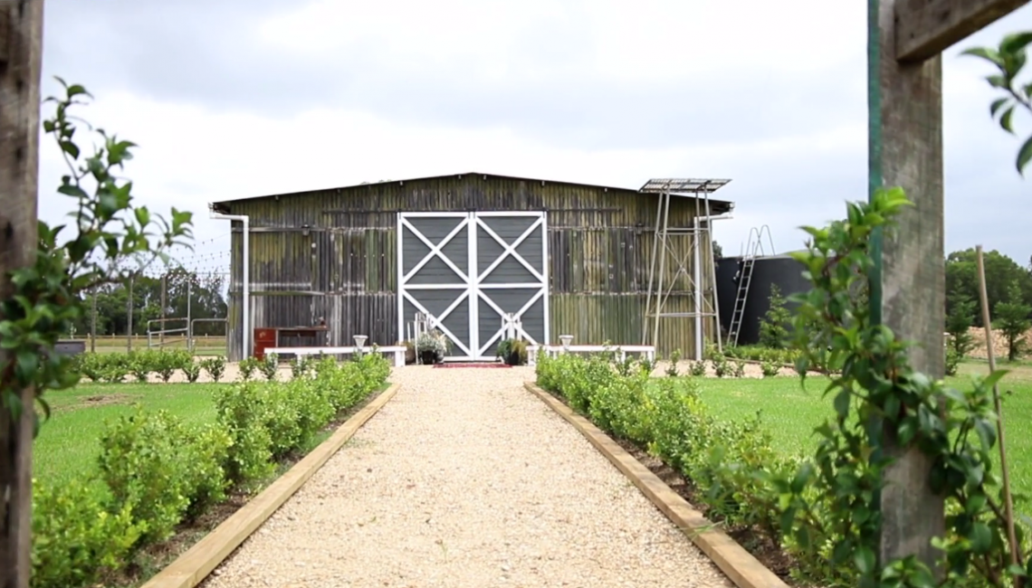 Moravia Park | Wedlockers