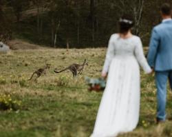 Goosewing Cottage | Wedlockers